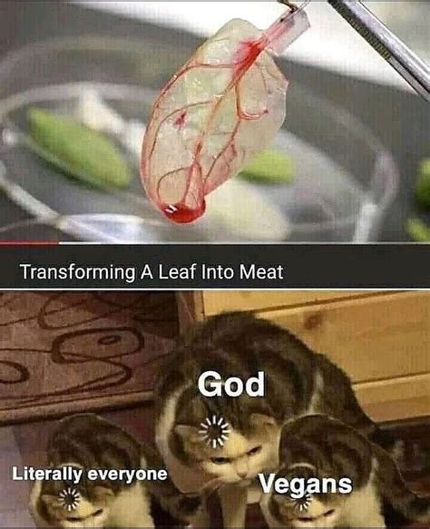 The Best Leaf Memes Memedroid