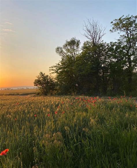 Pcychs On Twitter RT SoftdeIicacy Sunsets Daily Dose Of Escapism