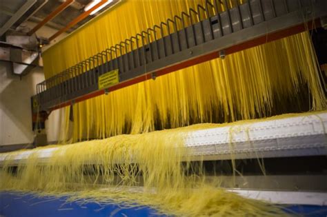 NOODLE ZARARLI MI kısır yapar mı Noodle zararları neler içinde neler