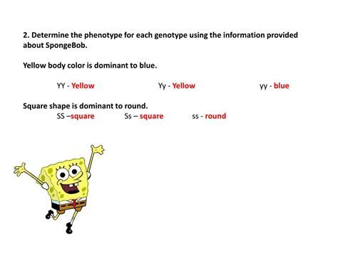 Ppt Spongebob Genetics 1 And 2 Powerpoint Presentation Free Download