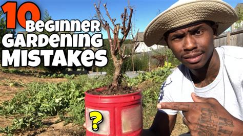 10 Beginner Gardening Mistakes Passiongardener