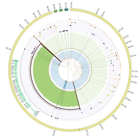 Chromothripsis Ecdna Classification · Issue 130 · Hartwigmedical