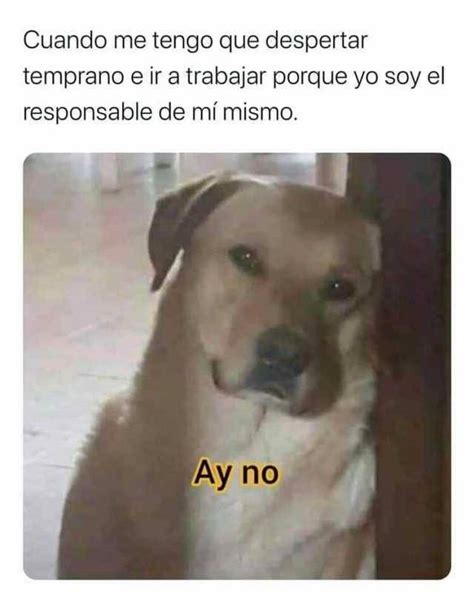 Levantarse Temprano Meme