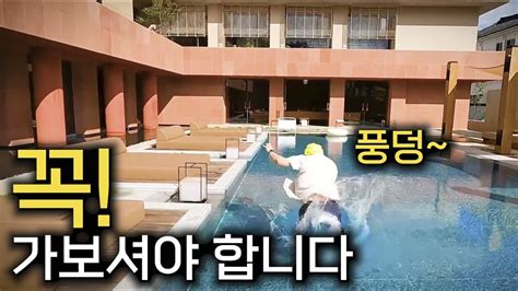 힐링이라는게 뭔지 진짜 제대로 보여드립니다 ⚠️이벤트 포함 Youtube