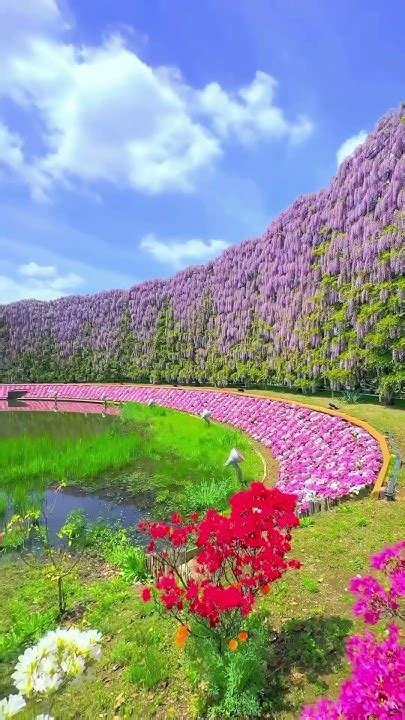 Beautiful Place In Earth Part 1 පෘතුවියේ ඇති සුන්දරම ස්ථාන 1 කොටස