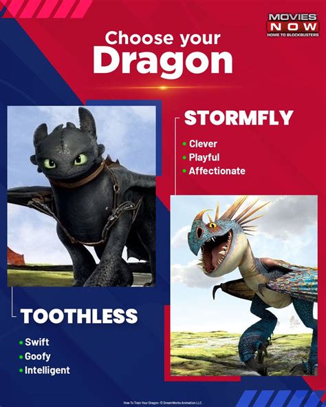 How To Train Your Dragon Stormfly And Toothless