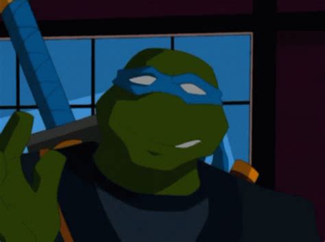 Tmnt 2003 Tmnt 2003 Leo Discover Share GIFs