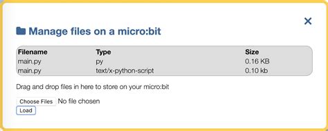 FS Adding A Main Py File Creates A Duplicate In The File List Issue