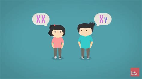 Kenapa Jenis Kelamin Ada Dua KASKUS