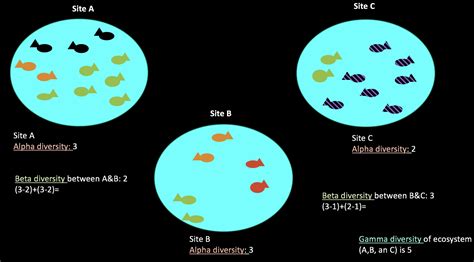Concepts Of Community Analysis — Vmi Bootcamp Ii 1 0 Documentation