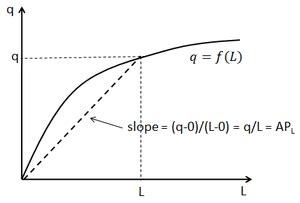 Introduction To Average And Marginal Product