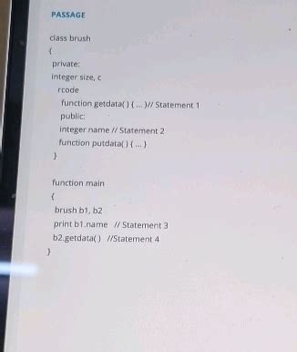 PASSAGE Class Brush Private Integer Size C StudyX