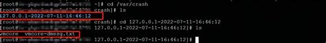 Linux中配置kdump 文章 开发者社区 火山引擎