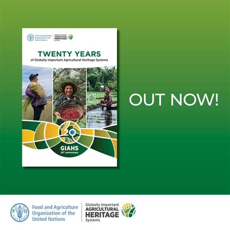 Clelia Maria Puzzo On Linkedin Fao Knowledge On Twitter