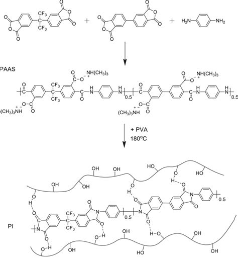 The Chemical Structure Of Poly Amic Acid Ammonium Salt PAAS And