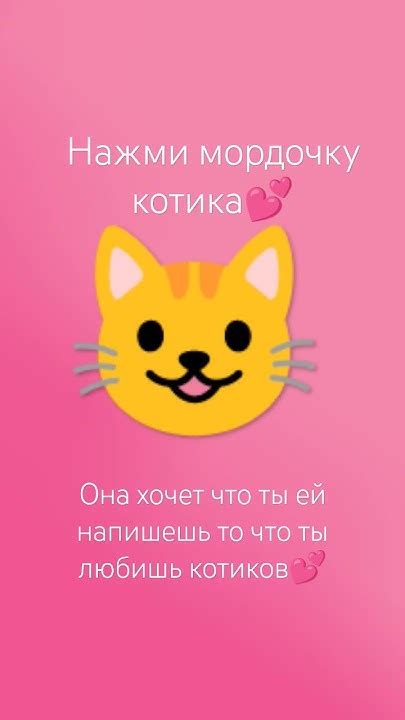 котик Youtube