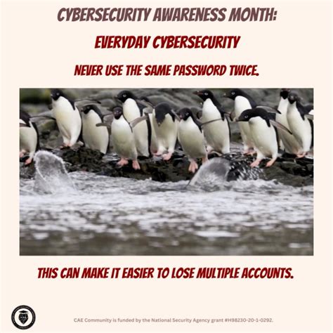 Cae In Cybersecurity Community On Linkedin Cybersecurityawarenessmonth Cam Cyber