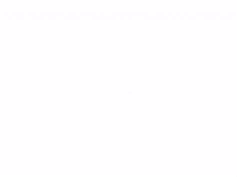 Custom 2d Logo Animation Logo Design And Youtube Intros By Wedointros On