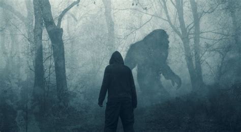Unraveling The Enigma Deciphering Bigfoot Language TheRadicalScholar