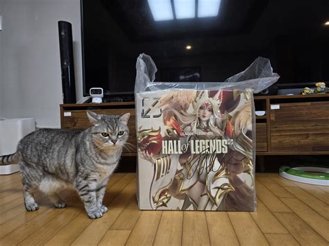 명전 아리 스태츄 드디어 도착 롤 리그 오브 레전드 에펨코리아