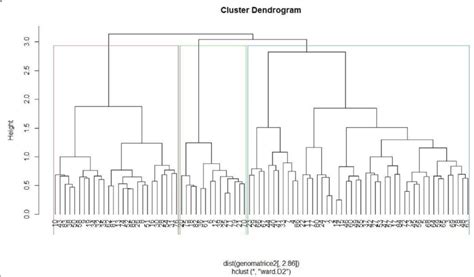 Dendrogram Showing Relatedness Among The 90 Cowpea Genotypes Based On