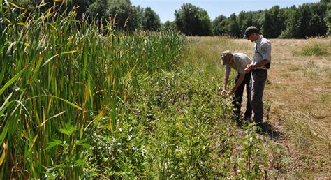Usda Announces Dates For Crp General And Grasslands Signups Morning Ag