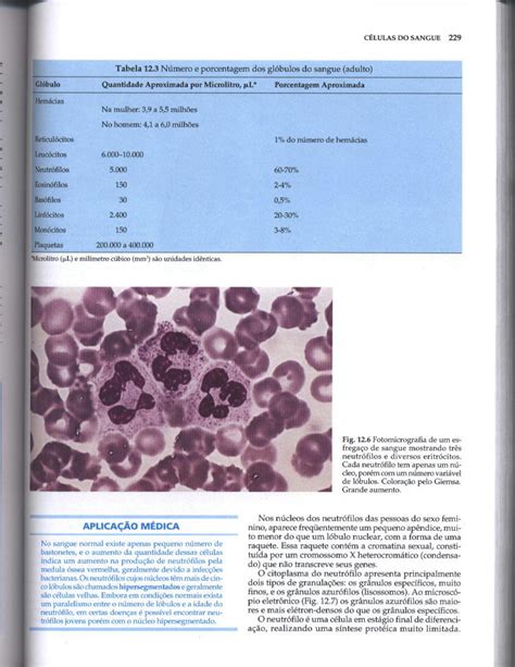 SOLUTION Histologia B Sica Junqueira E Carneiro Parte 2 Studypool