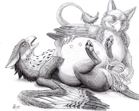 Rule 34 Avian Belly Beuwens Folder Bhaskara Big Belly Birth Bloated