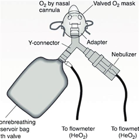 Heliox Delivery System Download Scientific Diagram