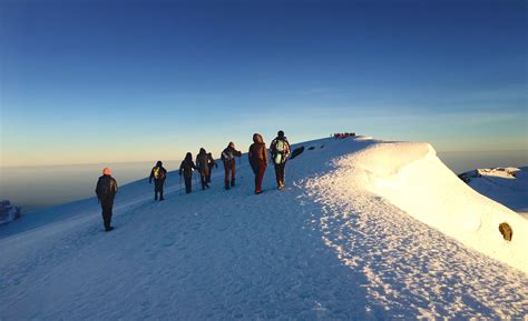 非洲乞力马扎罗山 我是如何撕心裂肺登上这座赤道雪峰 知乎