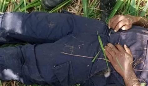 Crimes à Meiganga ces chiffres effroyables qui font froid dans le dos