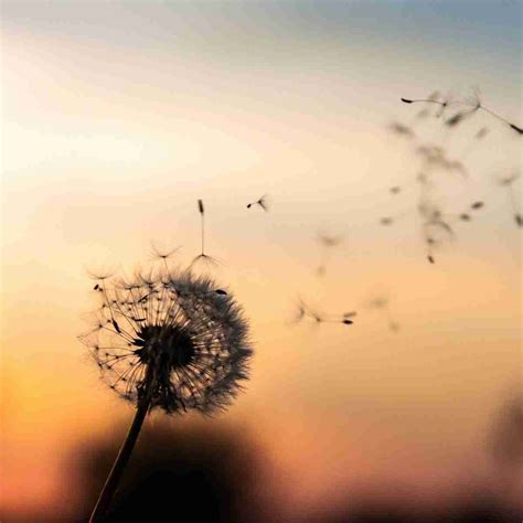 27 Rhyming Love Poems For Your Beau Aestheticpoems