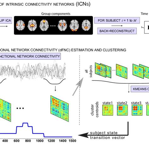 Schematic Depicting Resting Fmri Data Processing Adapted From