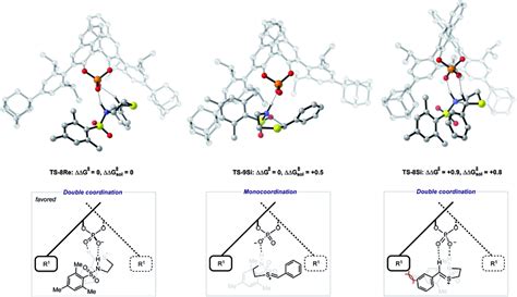 Competing Ts Structures For The Oxidative Cyclization Reaction