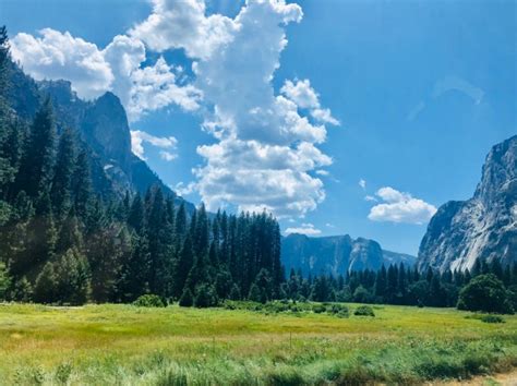 샌프란시스코 여행 셋째날 일정 요세미티 1박2일투어 카라벤 숙소 바베큐 저녁 별구경 자연속 힐링 네이버 블로그