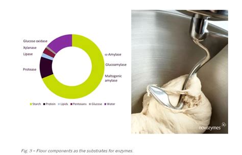 A Sustainable Wheat Optimization Method To Overcome Volatility In Wheat