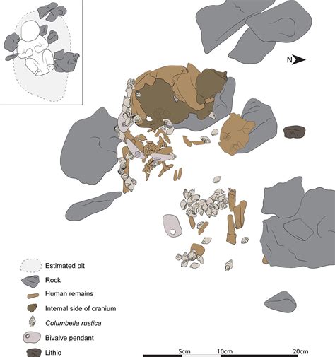 Europes Earliest Female Infant Burial Reveals Mesolithic Society