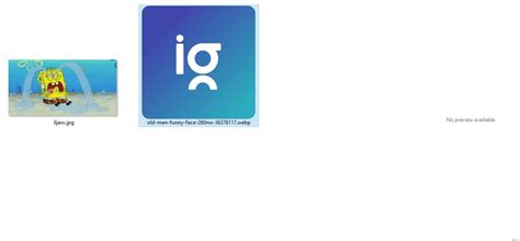 How Can I Get Windows Explorer To Show The Thumbnail For Webp Files Imageglass Is My Image