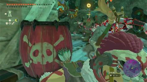 Treasure Chest Mustuto Lightroot The Legend Of Zelda Tears Of The Kingdom Ns Youtube