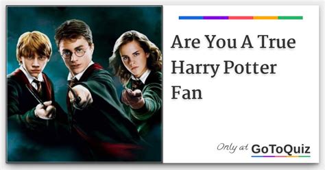 Are You A True Harry Potter Fan