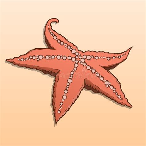 Starfish Isolated Black Silhouette Side View Marine Animal Vector