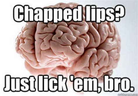 Funny Scumbag Brain Meme 70 Pics