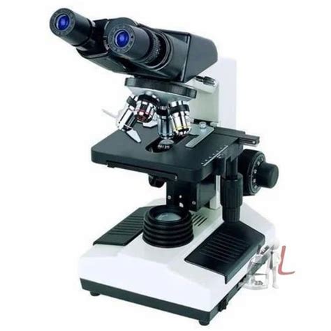 Phase Contrast Inverted Microscope At Rs 70000 Inverted Microscope Id 2850509405248