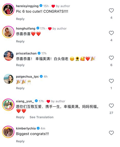 Spore Actor Chen Xi Son Of Edmund Chen And Xiang Yun Marries Japanese Girlfriend Mothership