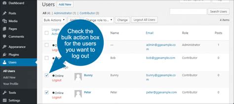 How To Completely Force Logout Of All Users In Wordpress Greengeeks
