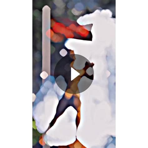 Ustad Gurjar Spotlight On Snapchat