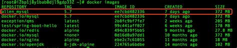 Docker 查看镜像信息 Docker 查看自己的镜像 Csdn博客