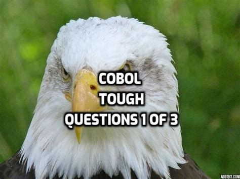 Cobol Tough Questions 1 Of 3 Srinimf