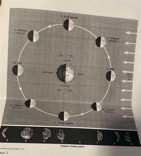 During These Activities We Will Explore How The Moon Chegg
