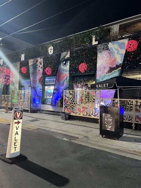 Elite High Class Vp Updated May 2025 Miami Florida Valet